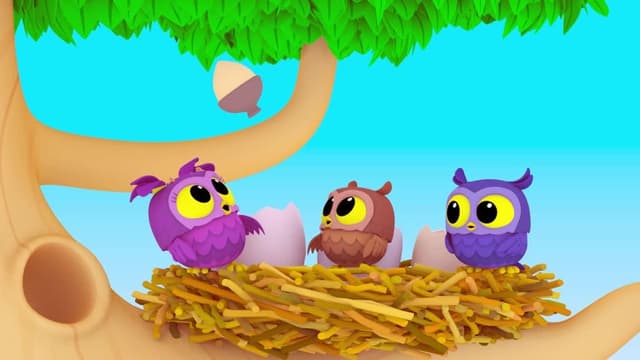 Watch Hoot, Scoot & What - Free TV Shows | Tubi