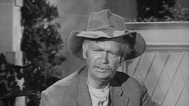 Watch The Beverly Hillbillies S01:E30 - Duke Becomes a Father - Free TV ...