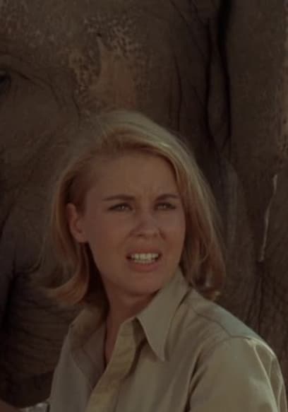 Watch Daktari S02:E08 - The Trial - Free TV Shows | Tubi