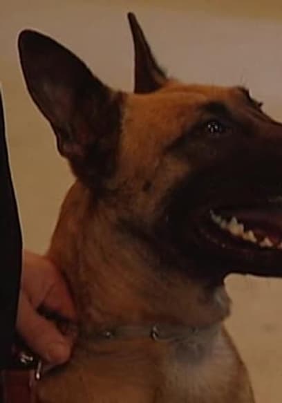 Watch Dogs With Jobs S01:E04 - EPISODE 4: Landris: Cobra Commando ...