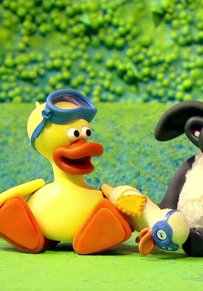 Watch Learning Time With Timmy S01:E01 - Episode 1 - Free TV Shows | Tubi