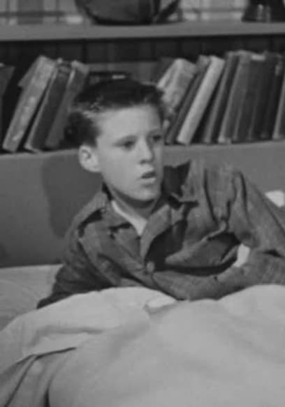 Watch The Adventures of Ozzie and Harriet S02:E03 - - Free TV Shows | Tubi