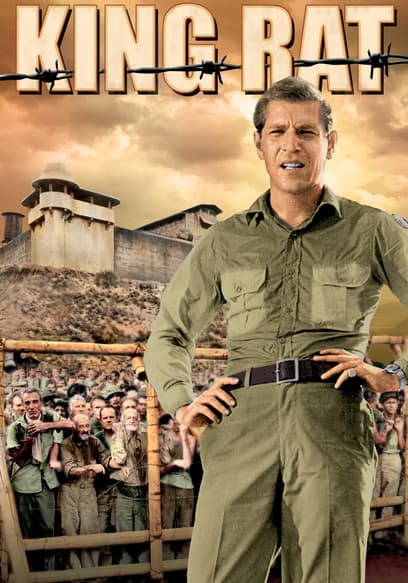 Watch King Rat (1965) - Free Movies | Tubi