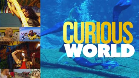 Watch Curious World - Free TV Shows | Tubi