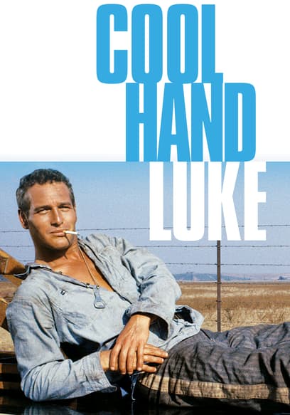 Watch Cool Hand Luke (1967) - Free Movies | Tubi