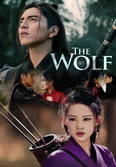 Watch The Wolf S01:E19 - Episode 19 - Free TV Shows | Tubi