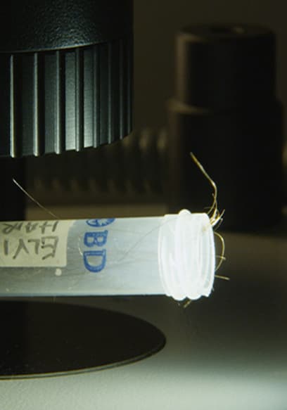 Watch Dead Famous DNA S01:E02 - Episode 2 - Free TV Shows | Tubi