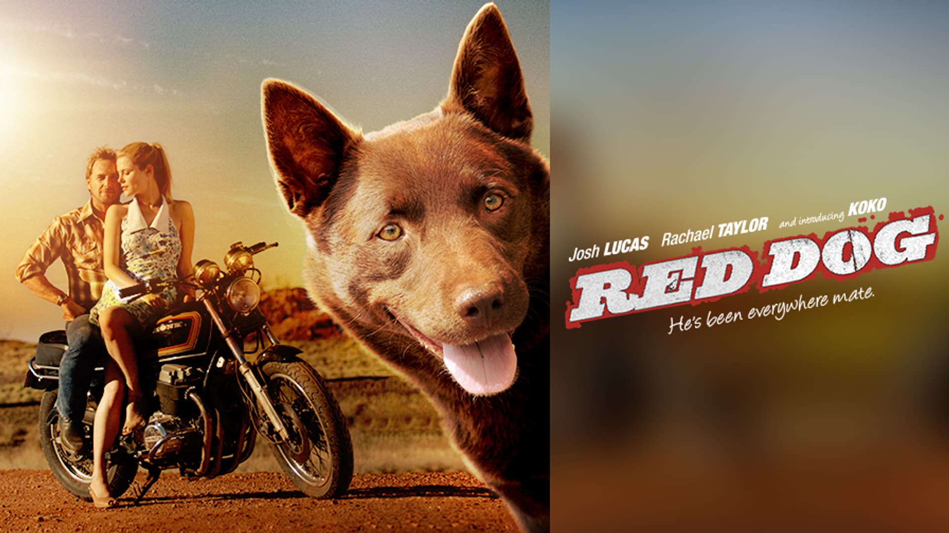 Watch Red Dog (2012) - Free Movies | Tubi