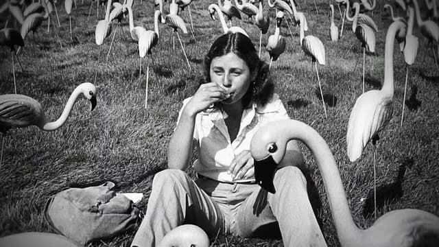 Watch Mysteries at the Museum S14:E03 - Evel Spirit and More - Free TV ...