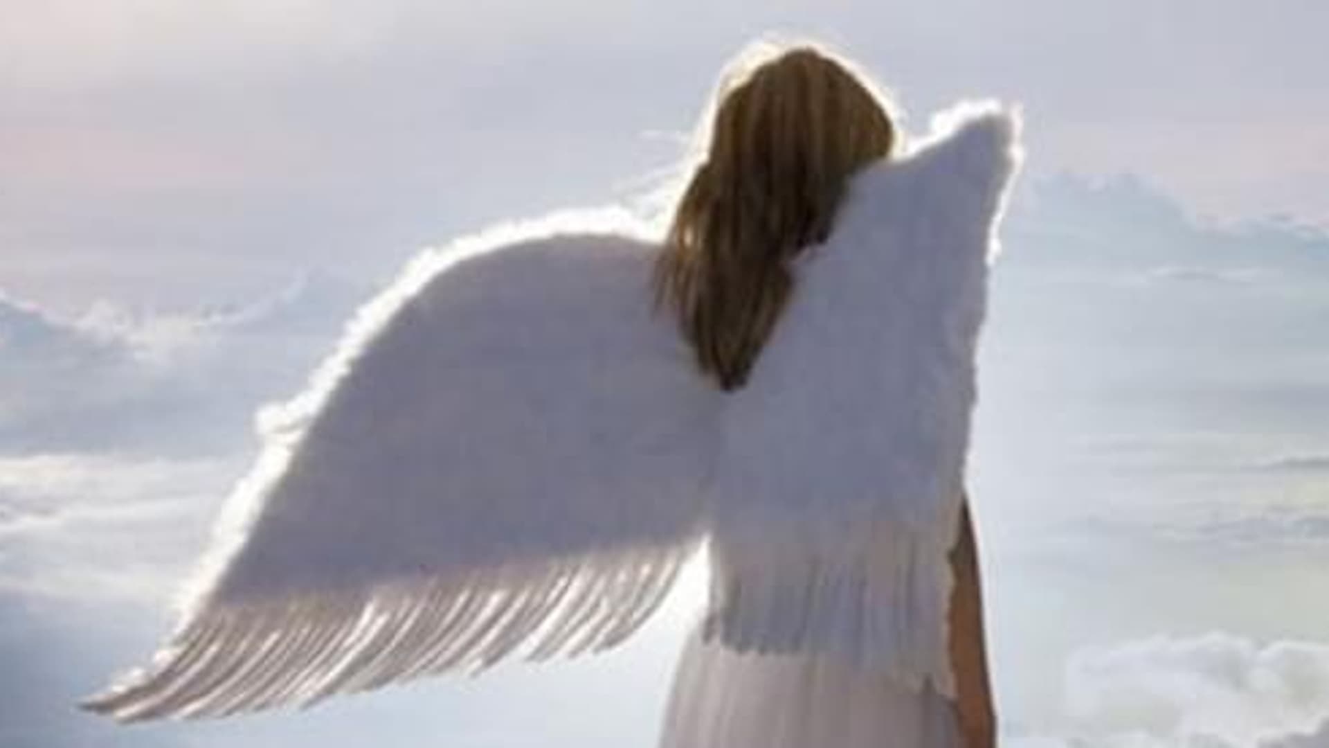 Watch Angels Sent on Assignment - Free TV Shows | Tubi