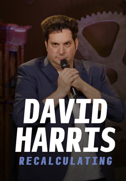 Watch David Harris: Recalculating (2021) - Free Movies | Tubi