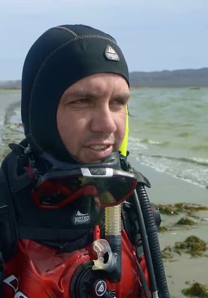 Watch Chile: Un Viaje Salvaje S01:E06 - Animales Chilenos - Free TV ...