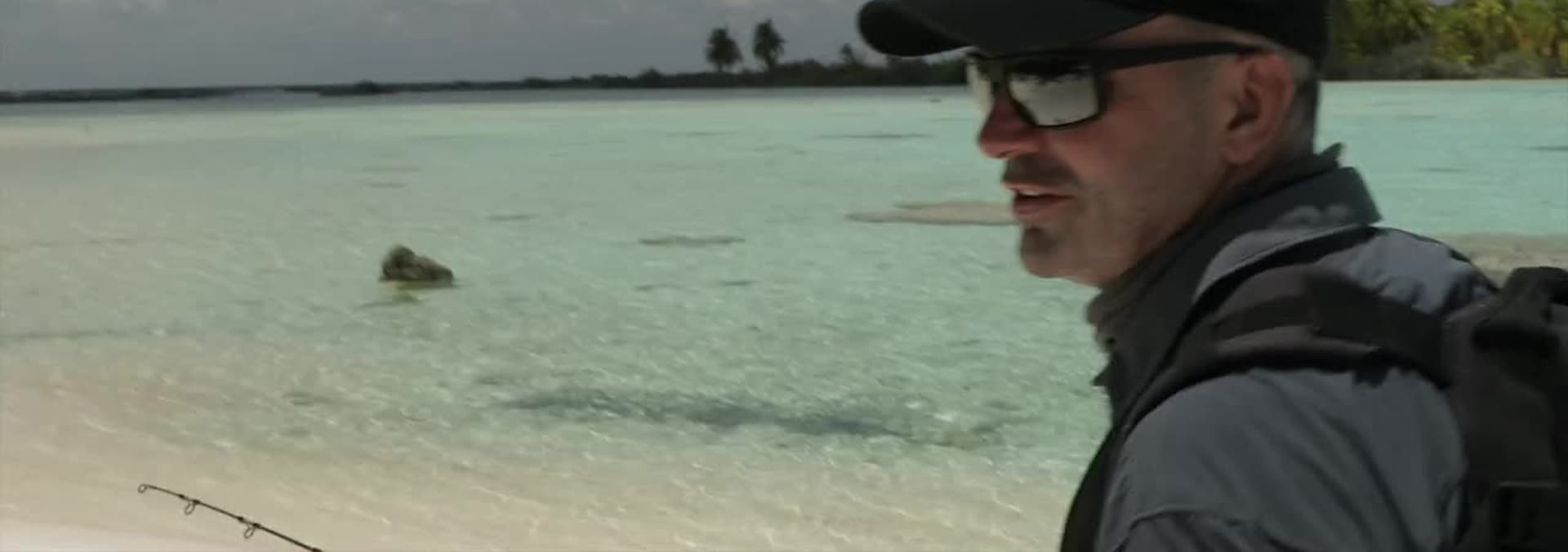 Watch Chasing Monsters S05:E01 - Besieged by Sharks - Free TV Shows | Tubi