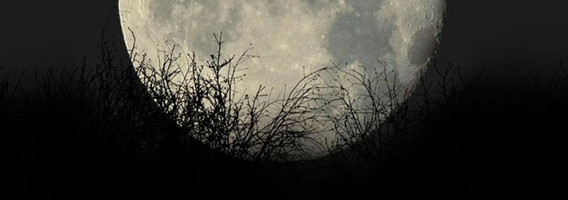 Watch Solstice (2007) - Free Movies | Tubi