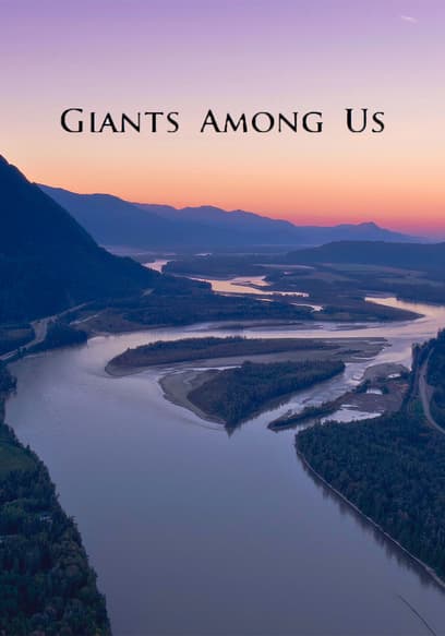 Watch Giants Among Us (2017) - Free Movies | Tubi Watch Giants Among Us (2017) - Free Movies | Tubi