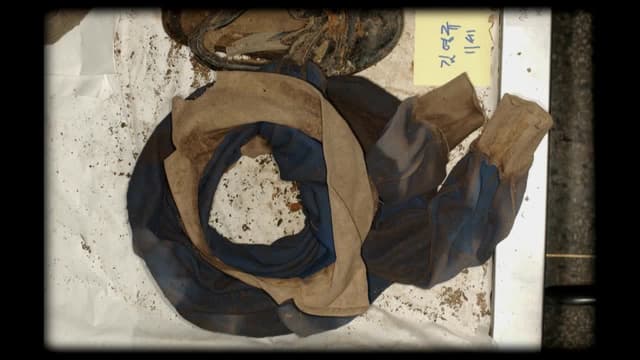 Watch In Search of the Frog Boys - Free TV Shows | Tubi