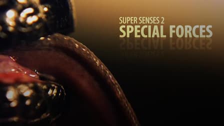 Watch Special Forces - Free TV Shows | Tubi