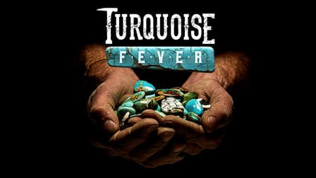 Watch Turquoise Fever - Free TV Shows | Tubi