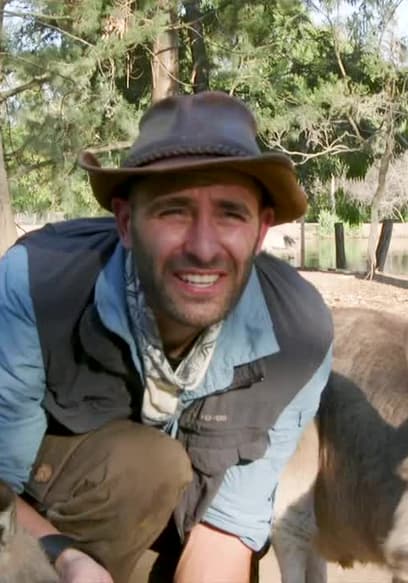 Watch Brave Wilderness S05:E04 - Don't Wake the Womb - Free TV Shows | Tubi