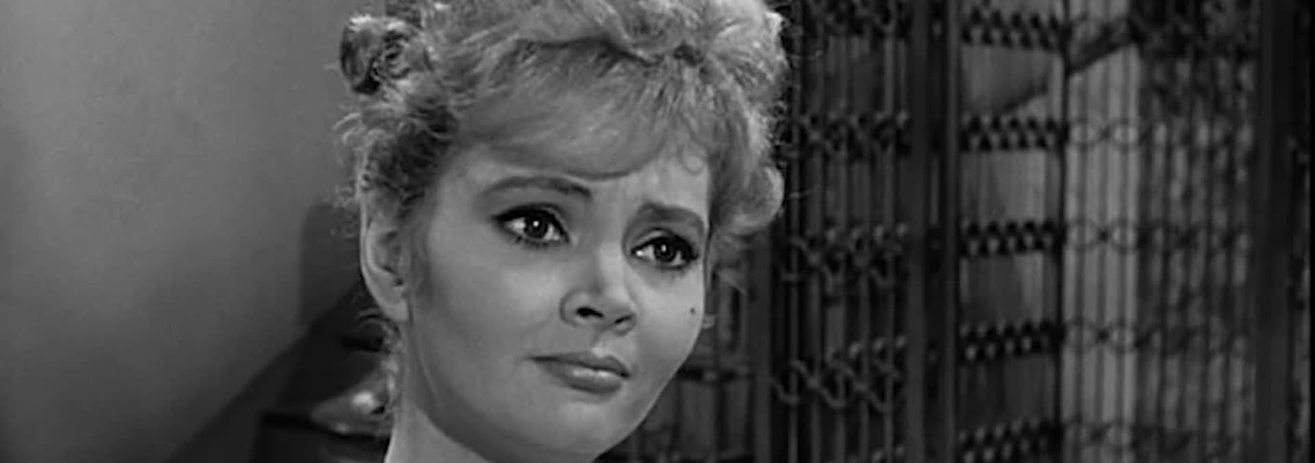 Watch Petticoat Junction S01:E28 - The Hooterville Flivverball - Free ...
