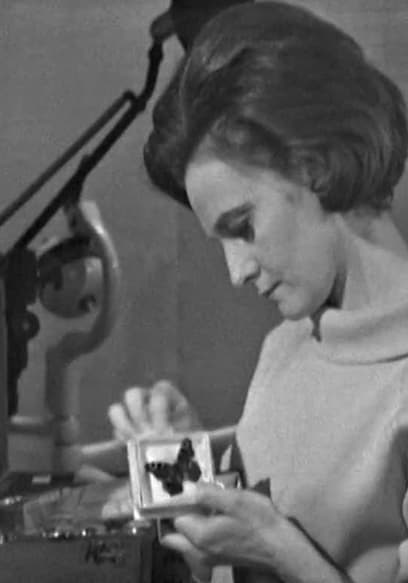 Watch Classic Doctor Who: The First Doctor S02:E16 - The Web Planet ...