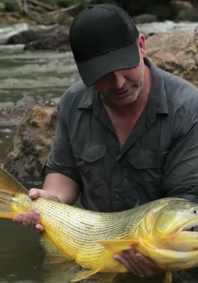 Watch Chasing Monsters S04:E02 - Jungle Nightmare - Free TV Shows | Tubi