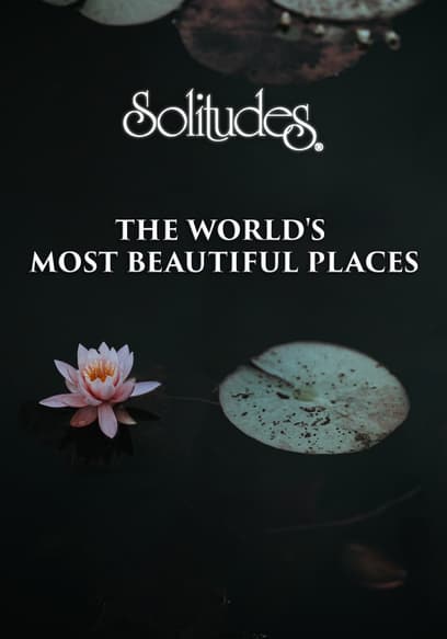 Watch Dan Gibson's Solitudes: The World's Most Beaut - Free TV Shows | Tubi Watch Dan Gibson's Solitudes: The World's Most Beaut - Free TV Shows | Tubi