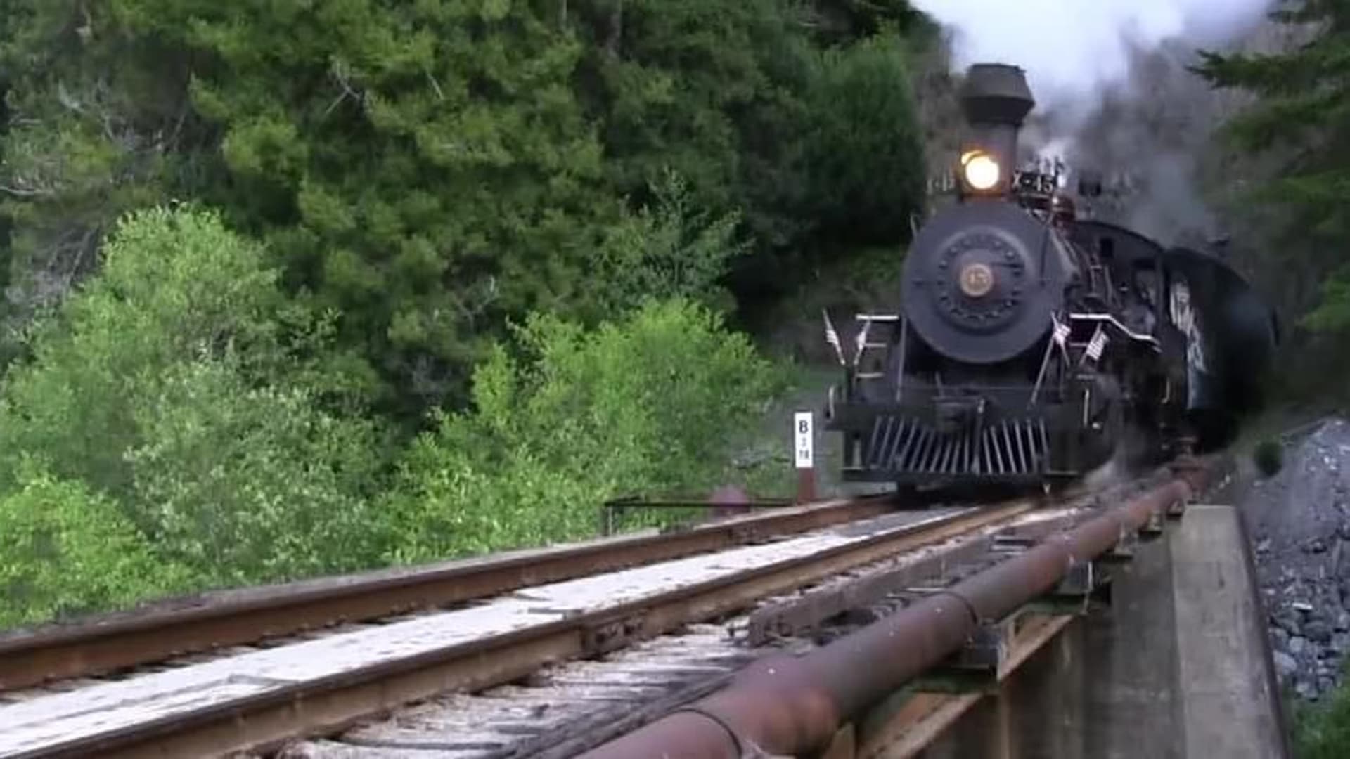 Watch Lots & Lots of Big Steam Trains Galore (2020) - Free Movies | Tubi