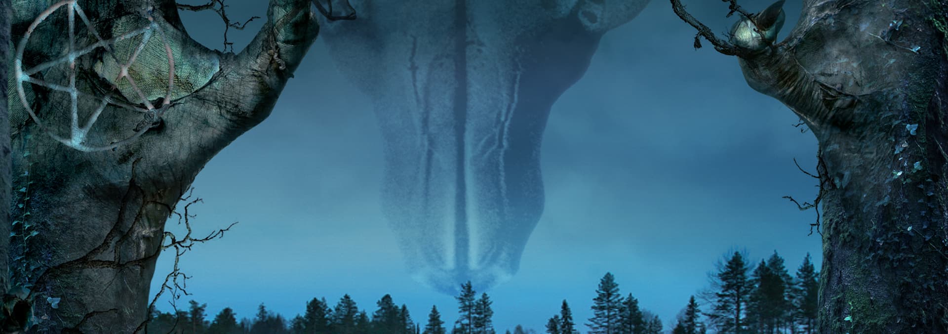 Watch Documenting the Witch Path (2017) - Free Movies | Tubi