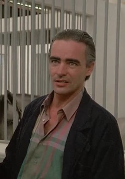 Watch Miami Vice S02:E15 - One Way Ticket - Free TV Shows | Tubi