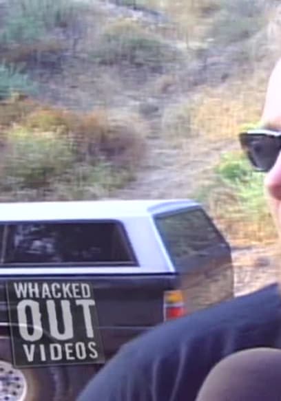 Watch Whacked Out Videos S02:E05 - Episode 5 - Free TV Shows | Tubi