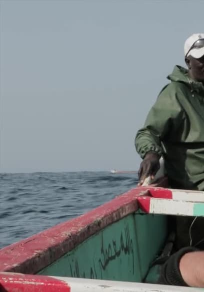 Watch Chasing Monsters S04:E03 - Impalers - Free TV Shows | Tubi