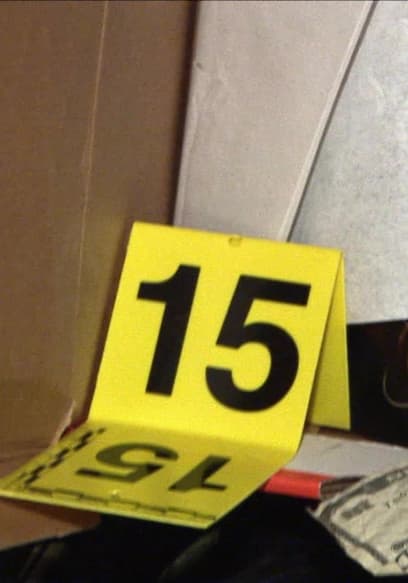 Watch The First 48 S07:E10 - The Last Yard / Root of - Free TV Shows | Tubi