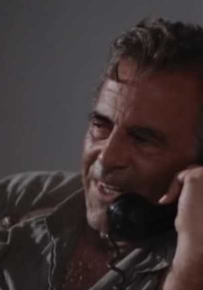 Watch Wiseguy S04:E06 - Witness Protection for the A - Free TV Shows | Tubi