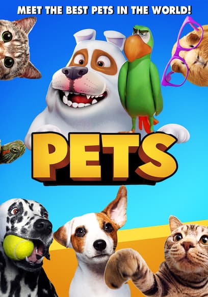 Watch Pets - Free TV Shows | Tubi