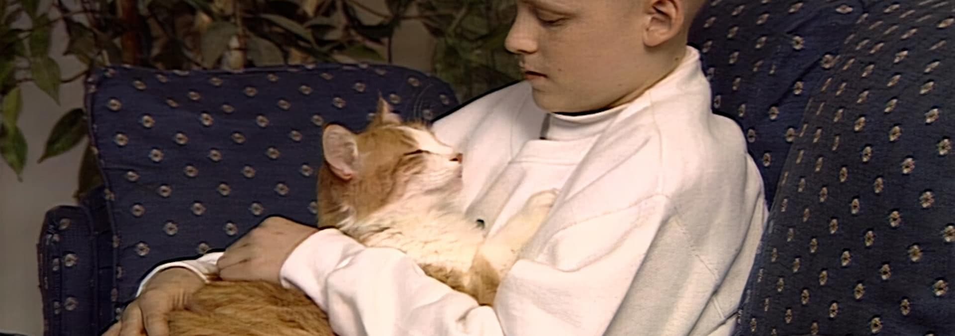 Watch A Time for Life (1991) - Free Movies | Tubi