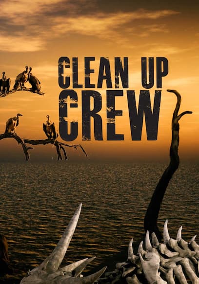 Watch Clean Up Crew (2021) - Free Movies | Tubi