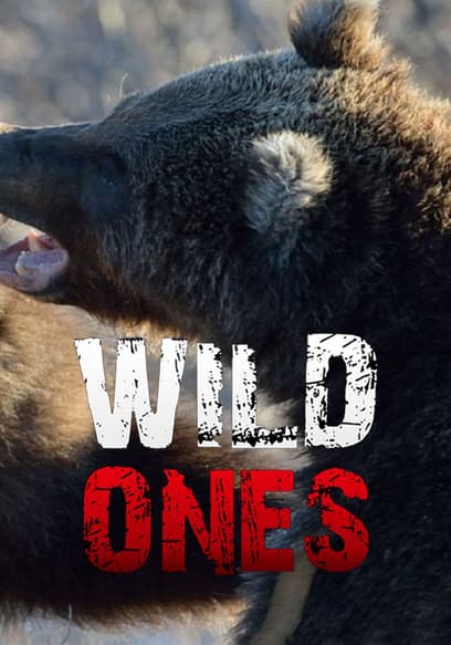 Watch Wild Ones - Free TV Shows | Tubi