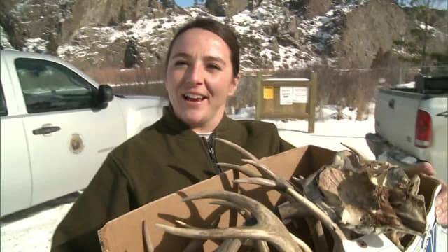 Watch Wardens - Free TV Shows | Tubi