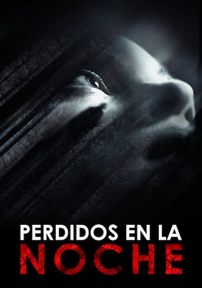 Watch Perdidos En La Noche (Doblado) (2013) - Free Movies | Tubi