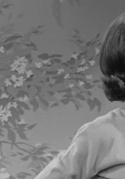 Watch The Dick Van Dyke Show S03:E09 - Big Max Calvada - Free TV Shows ...
