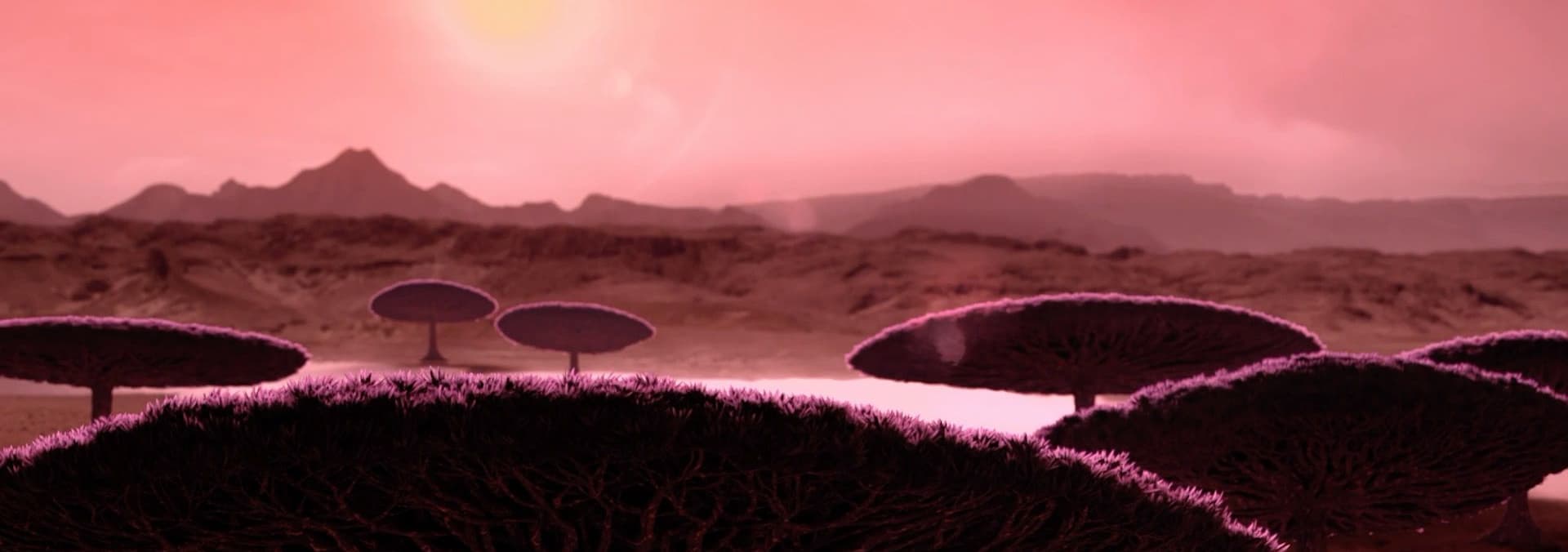 Watch Space Phenomena S01:E01 - Alien Planets - Free TV Shows | Tubi