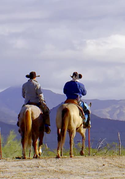 Watch Ultimate Cowboy Showdown S04:E05 - Down and Dirty - Free TV Shows ...