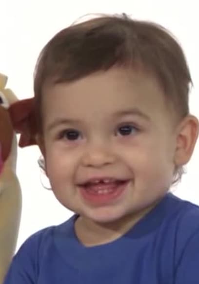 Watch Baby Einstein Classics S01:E07 - World Animal - Free TV Shows | Tubi