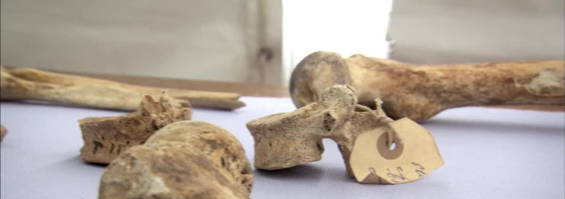 Watch History Cold Case UK S02:E02 - The Skeletons of Windy Pits - Free ...