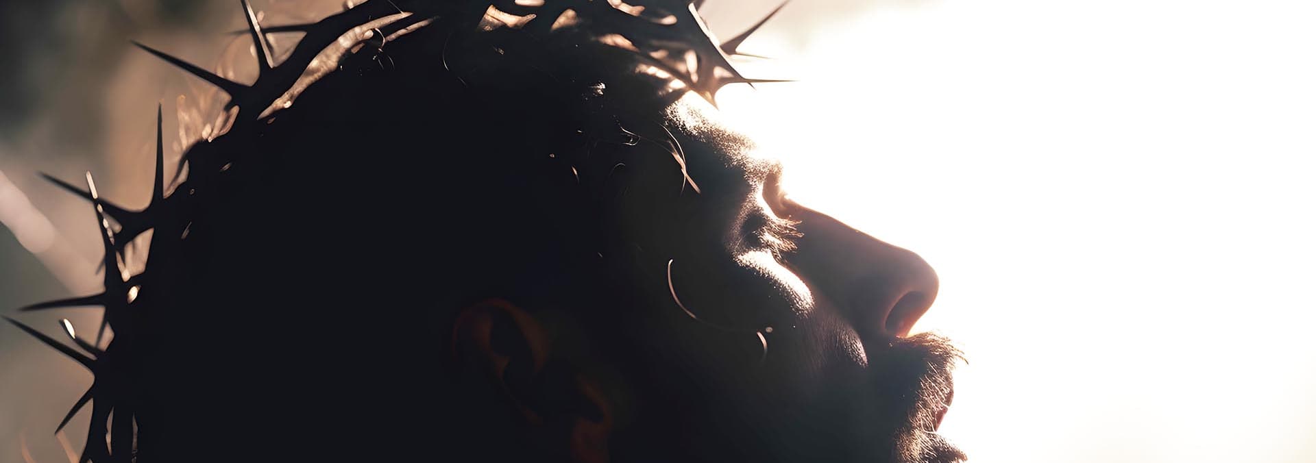 Watch The Last Hours of Jesus Christ (2020) - Free Movies | Tubi