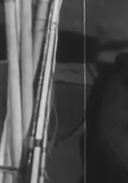 Watch The Roy Rogers Show S01:E02 - Doc Stevens' Traveling Store - Free ...