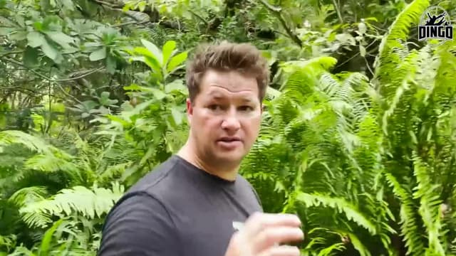 Watch Dingo Untamed S01:E10 - Forest Cobra in Swamp - Free TV Shows | Tubi