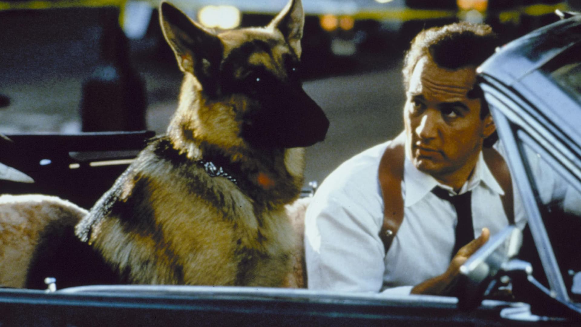 Watch K-9 (1989) - Free Movies | Tubi