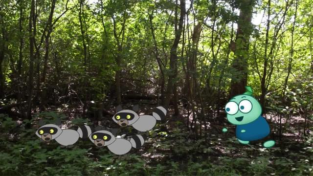 Watch Whirl: Ada and Friends - Free TV Shows | Tubi